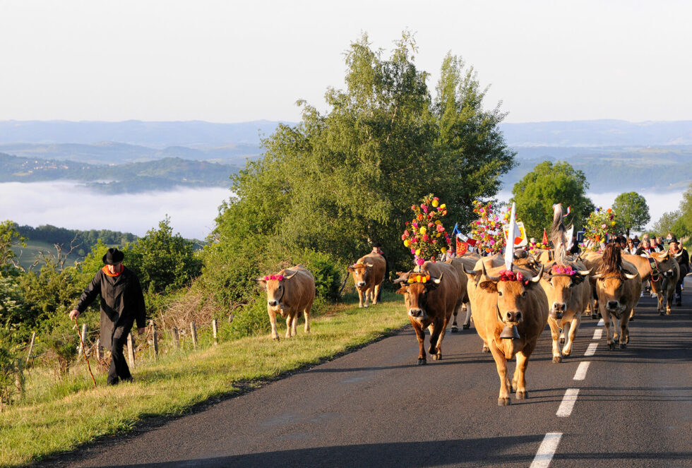 La Transhumance au Patrimoine de l'Unesco - Les Clés de l'Aubrac